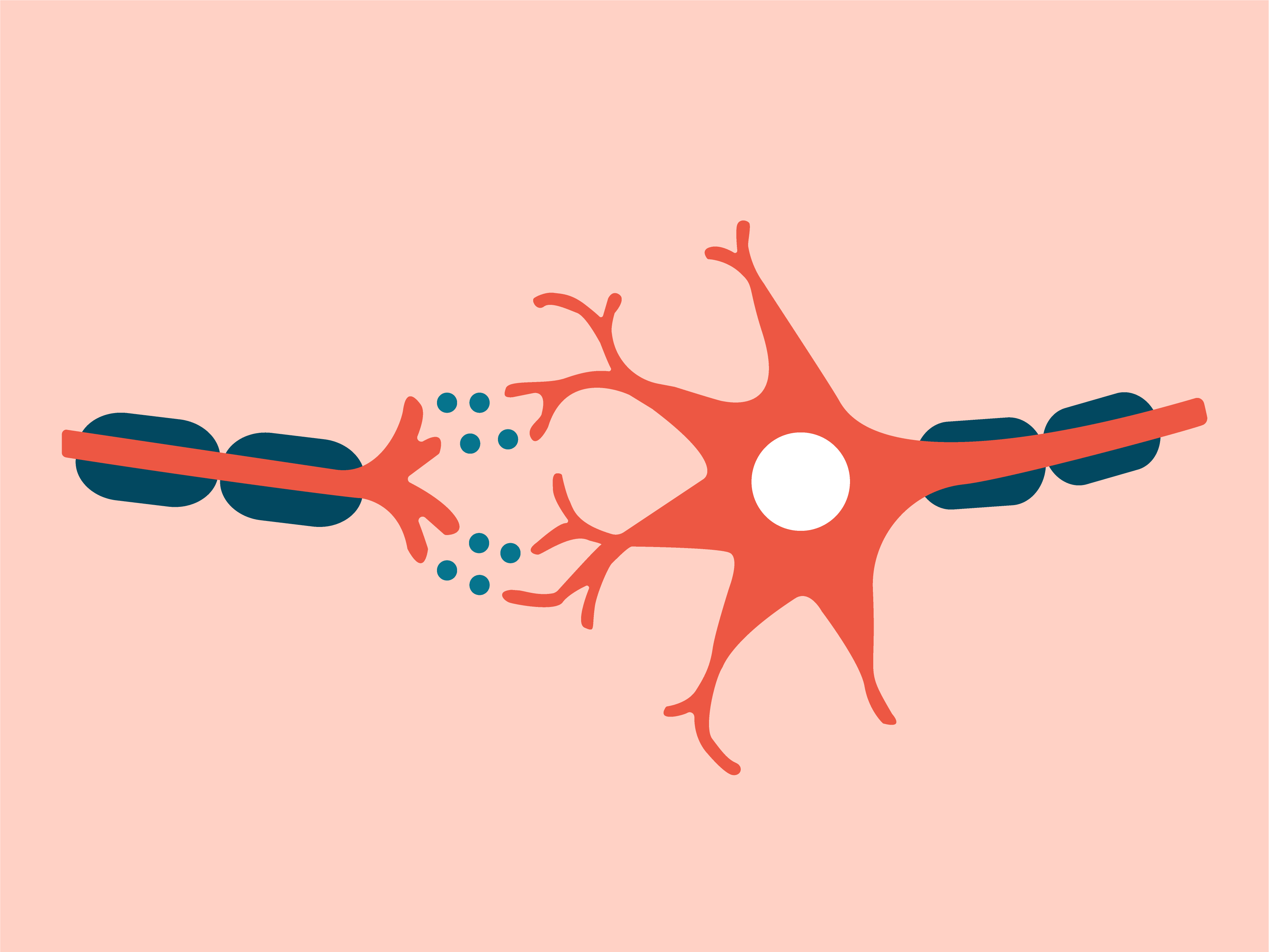 Slow processing speed and the brain